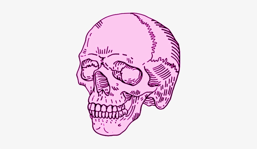 Skull, Pink, And Transparent Image - Skull Png - Free Transparent PNG ...
