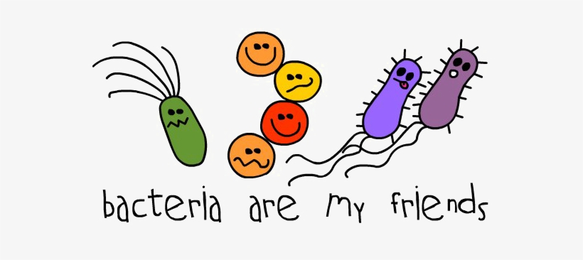 Bacteria Png Photo - Bacteria Birthday Cards - Free Transparent PNG ...