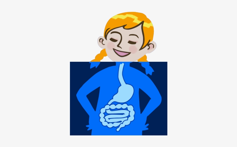 A Tummy Tour - Free Transparent PNG Download - PNGkey