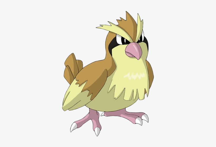 Pidgey By Ani Monster Reboot-d9pweu2 - Pidgey - Free Transparent PNG ...