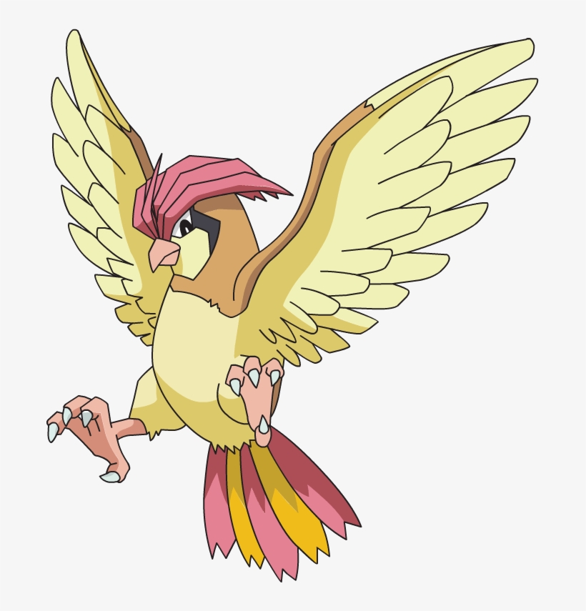 Pidgeotto - Pidgeotto Pokemon - Free Transparent PNG Download - PNGkey