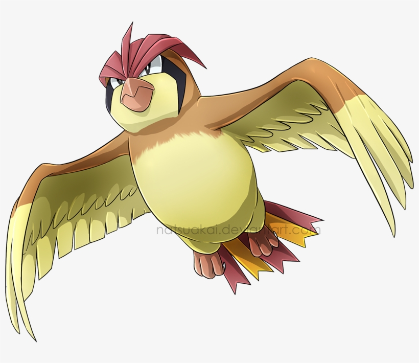 #17 Pidgeotto Art Challenge, Wonders Of The World, - Pidgeotto Png ...