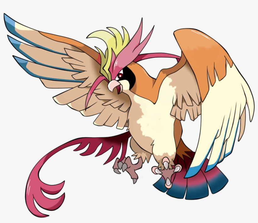 Pokémon » Thread - Mega Pidgeot - Free Transparent PNG Download - PNGkey