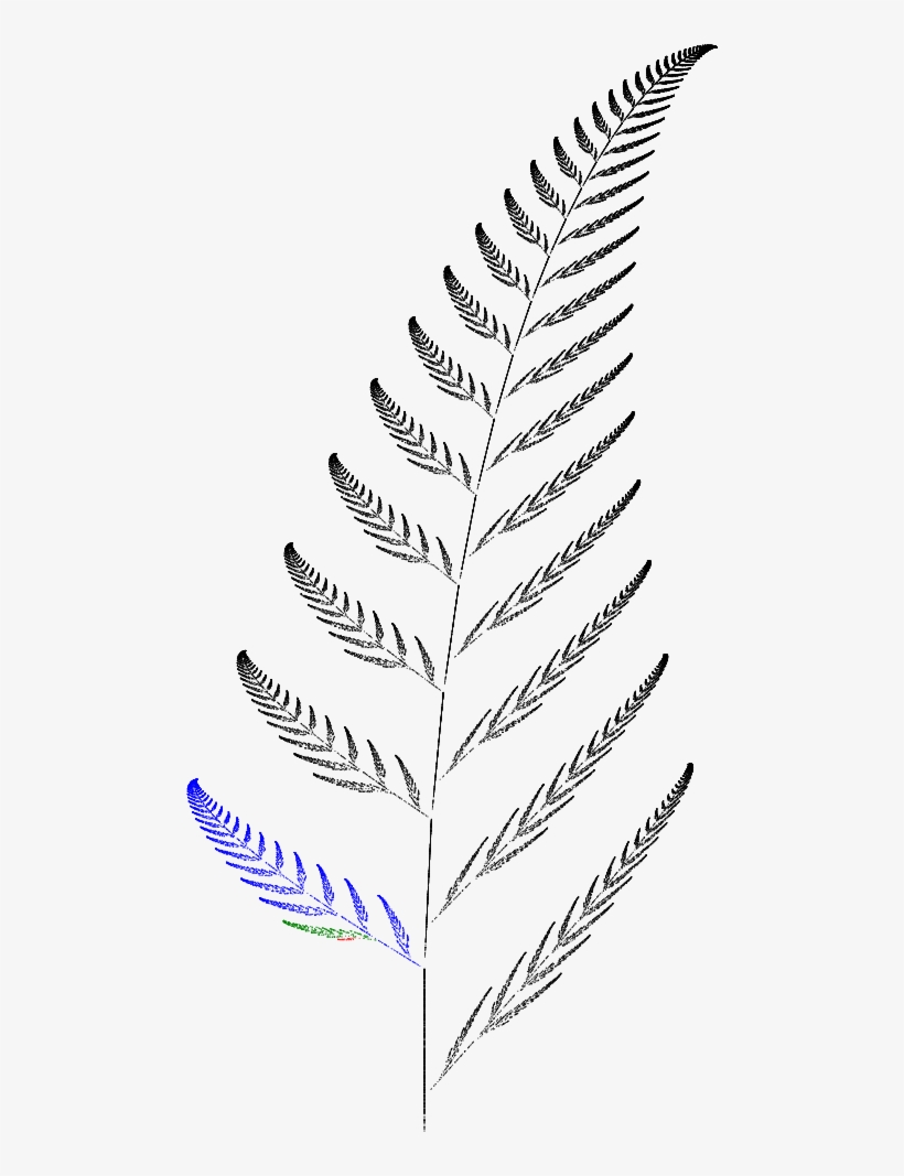 Barnsley Fern Funktion3 - Vertebral Column - Free Transparent PNG ...