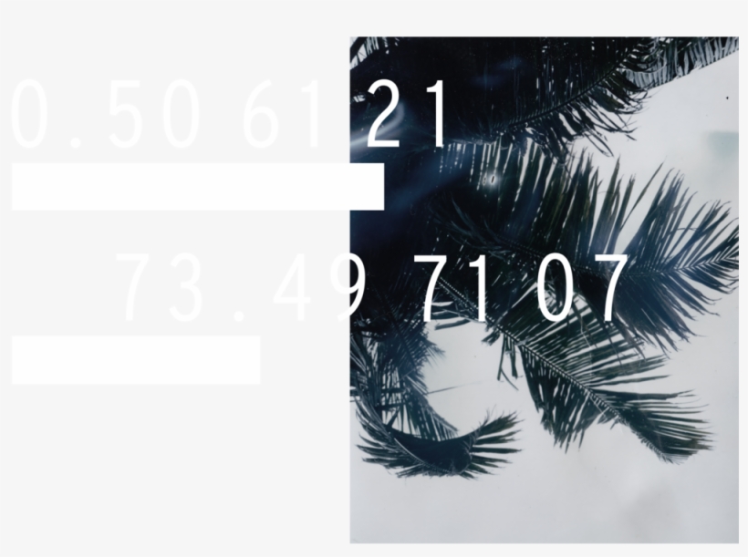 Main Pic Overlay Numbers - Number - Free Transparent PNG Download - PNGkey