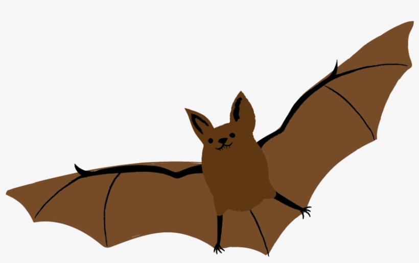 Little Brown Bat - Free Transparent PNG Download - PNGkey