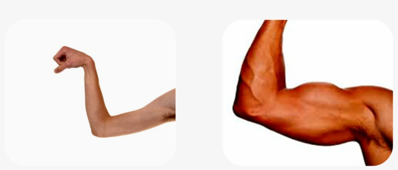Weak Muscles Vs Strong Muscles - Free Transparent PNG Download - PNGkey