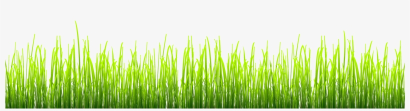 Wall Decal - Free Transparent PNG Download - PNGkey