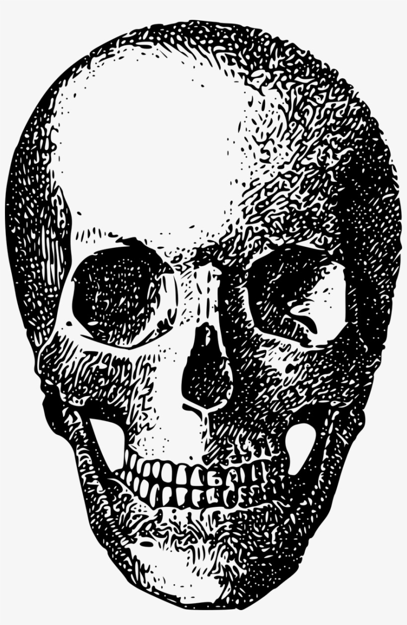 Skull - Free Transparent PNG Download - PNGkey