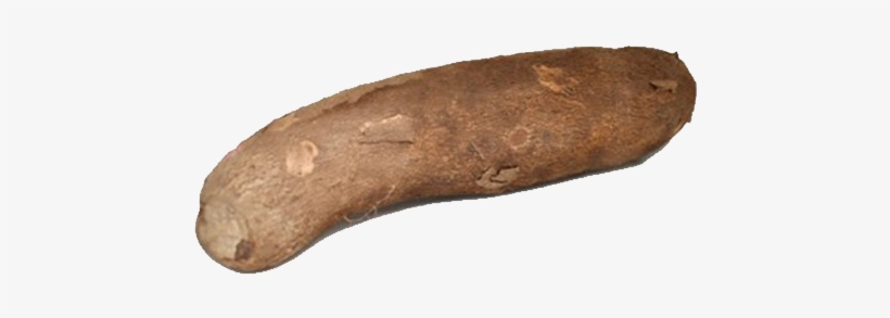 Yam Medium - Free Transparent PNG Download - PNGkey