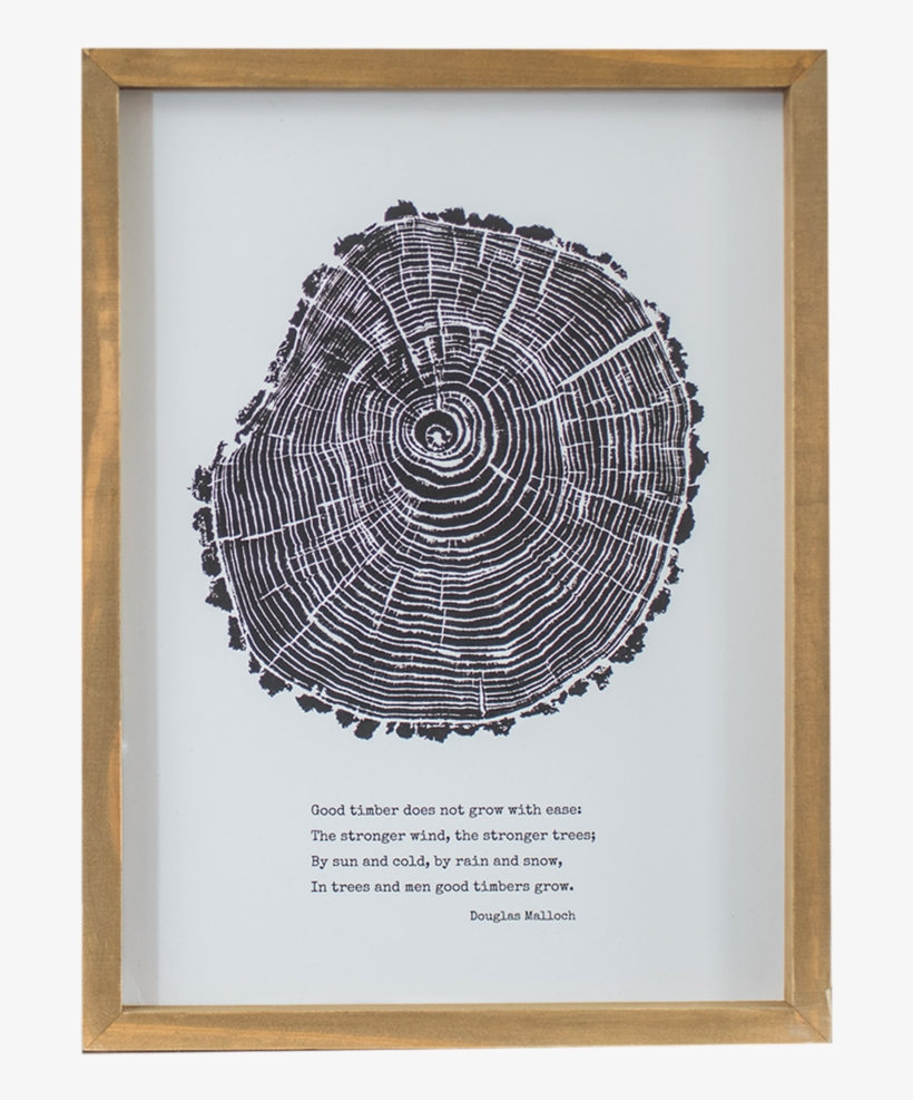 Good Timber - Wall - Free Transparent PNG Download - PNGkey