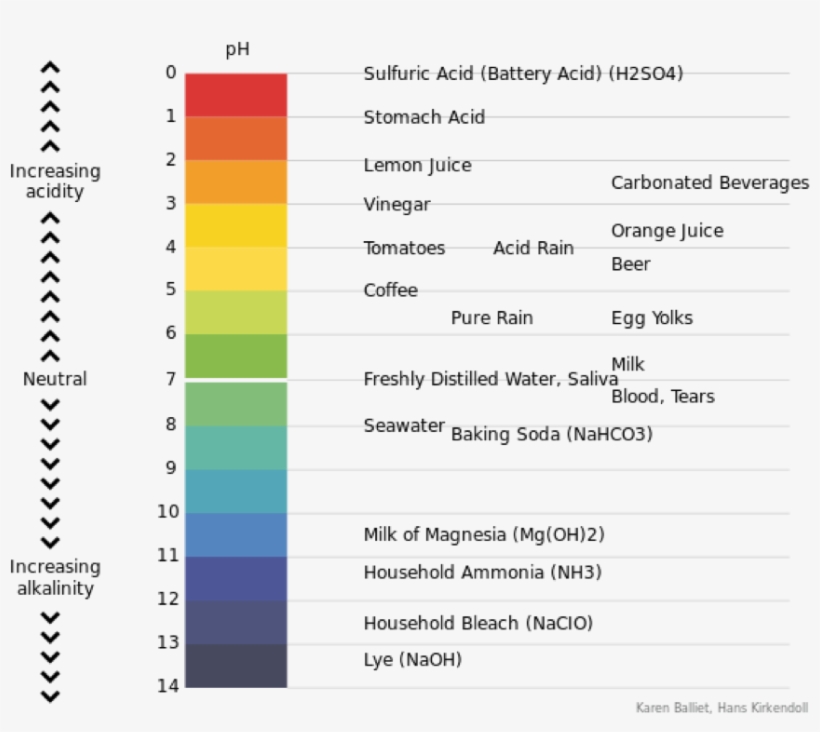 Image/png" - }s - 15 - "pb Cover Medium" - A - 4 - - Acid Base And ...