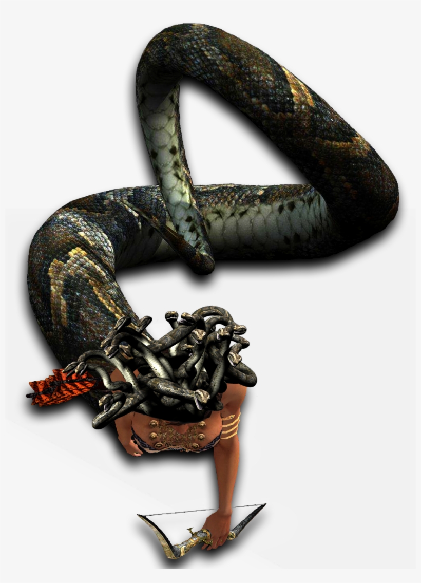 Midweek Media Sharing - Medusa Token 5e - Free Transparent PNG Download ...
