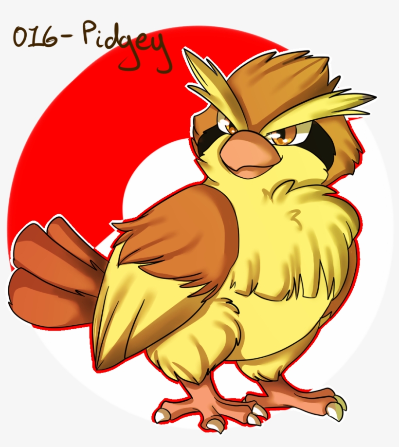 016- Pidgey - Cartoon - Free Transparent PNG Download - PNGkey