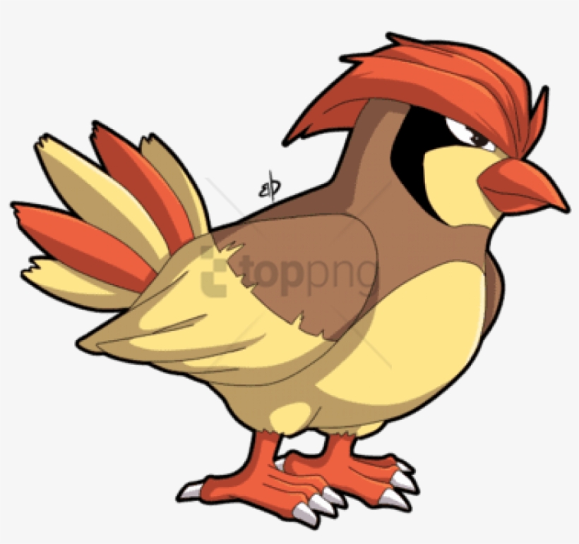 Smosh Pokemon Pidgey - Pokemon Bird With Hair - Free Transparent PNG ...