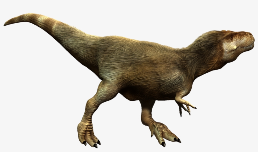 Tyrann - Tyrannosaurus - Free Transparent PNG Download - PNGkey