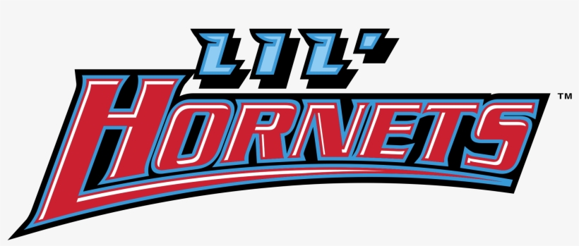 Delaware State Hornets Logo Png Transparent - Delaware State University ...