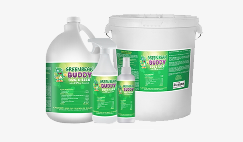 Upon Using, I Realized That Green Bean Buddy Bed Bug - Insect - Free ...
