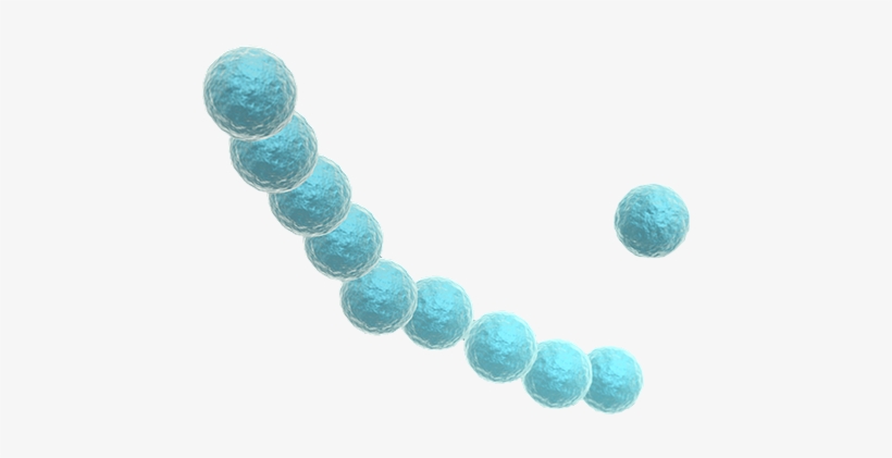 Diasorin Molecular Simplexa® Group A Strep Direct Kit - Diasorin ...