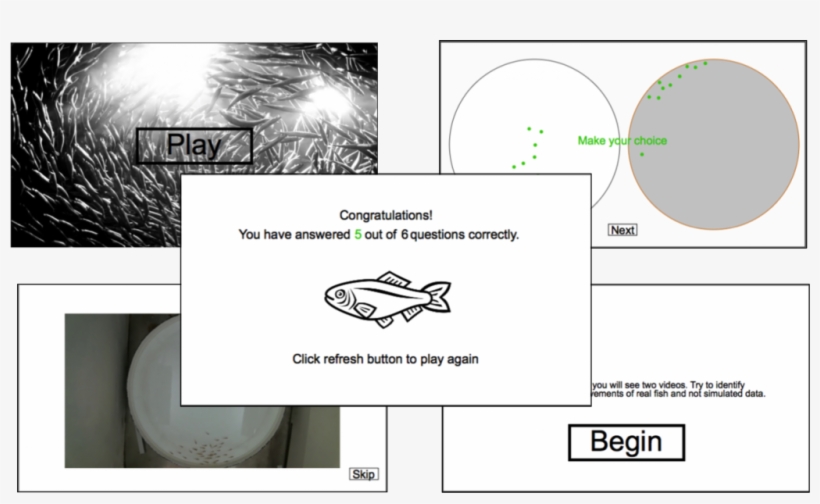 Select Gifts Fish Graphic - Engraved Personalised Silver - Free ...