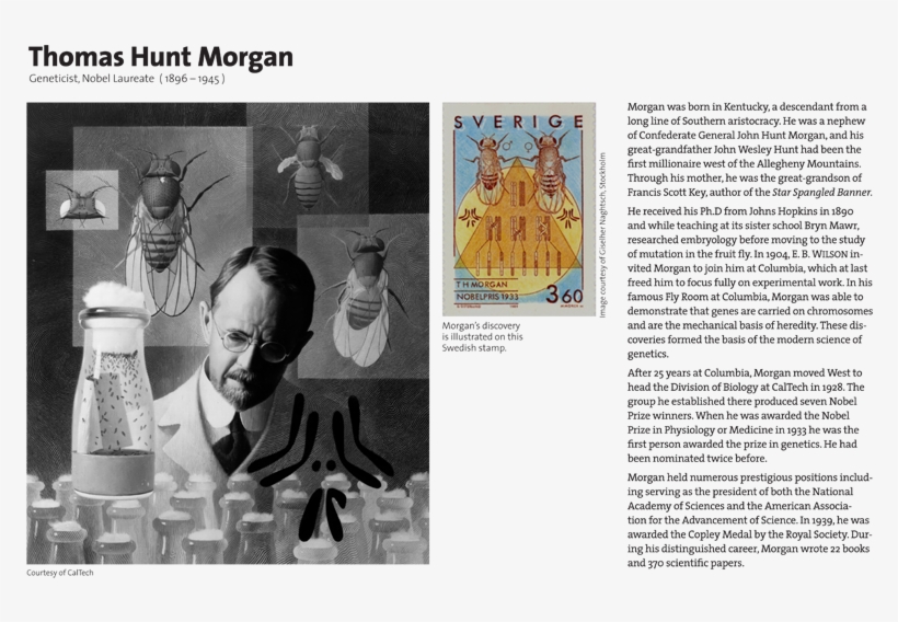 Thomas Hunt Morgan Nobel Prize
