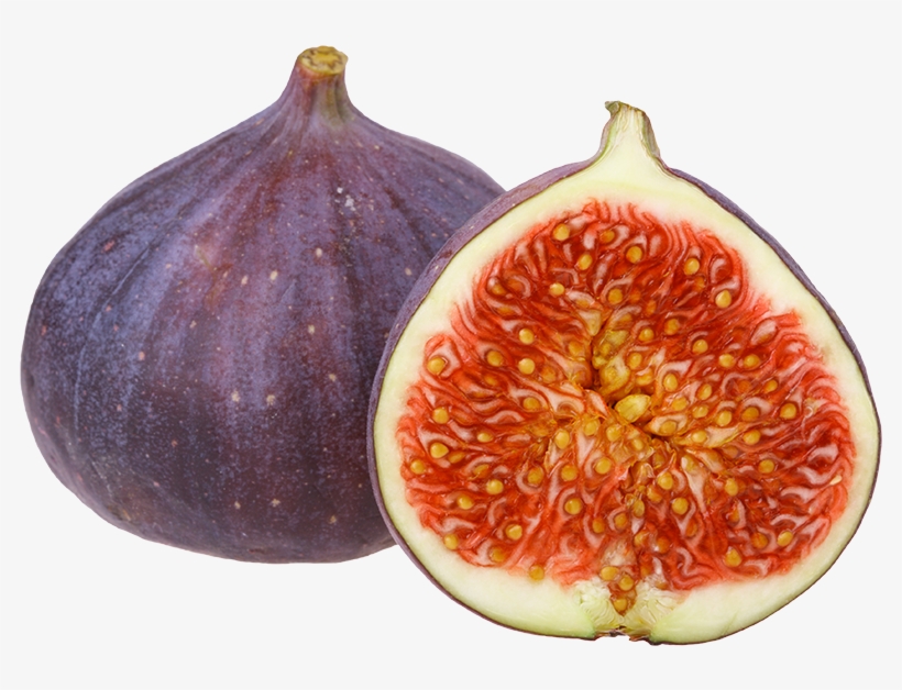 Common Fig - Free Transparent PNG Download - PNGkey