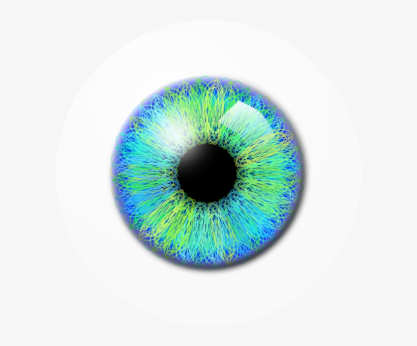 Eye Png - Eye Lens Png - Free Transparent PNG Download - PNGkey