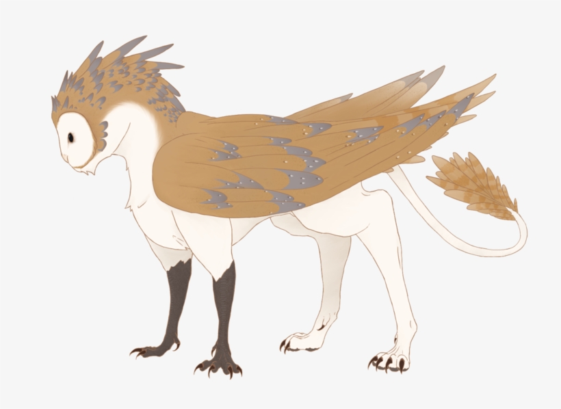 Barn Owl Gryphon By Hexfox On Deviantart - Owl Gryphon - Free ...
