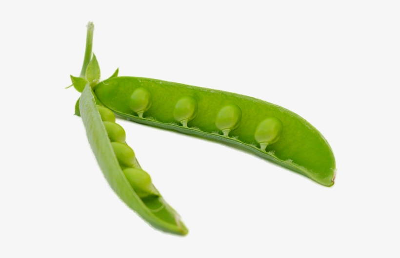 Pod Png - Free Transparent PNG Download - PNGkey