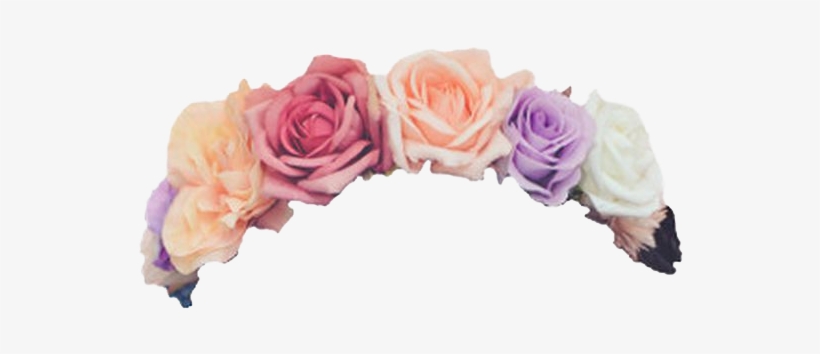 Daisy Flower Crown Tumblr Transparent - Flower Crown Transparent ...
