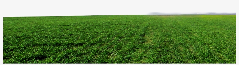 Land Vector Background Graphic Library Library - Green Land Background ...