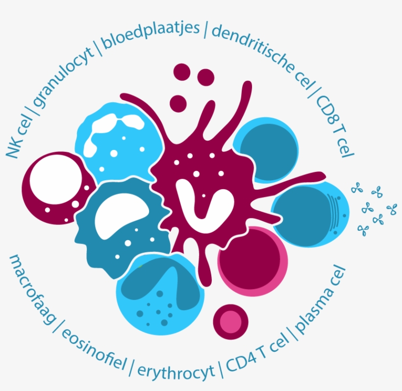 20180204 Actors Immune System - Free Transparent PNG Download - PNGkey