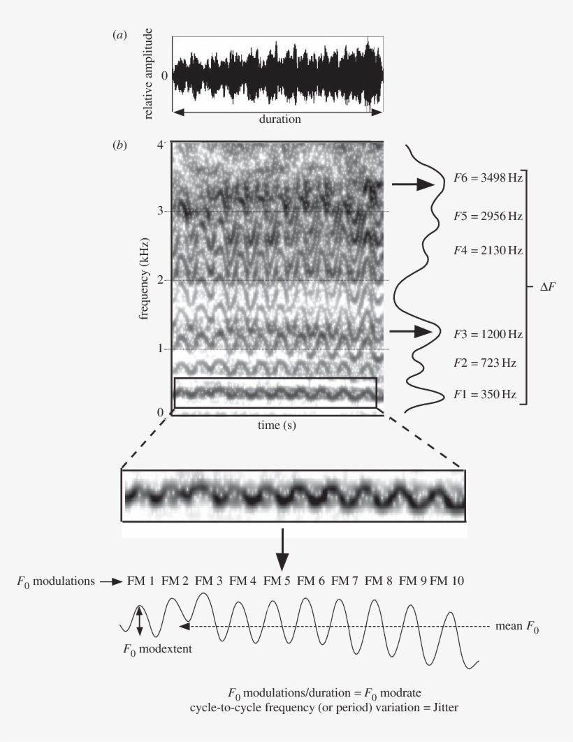 Waveform And (b) Spectrogram To Illustrate The Acoustic - Spectrogram ...