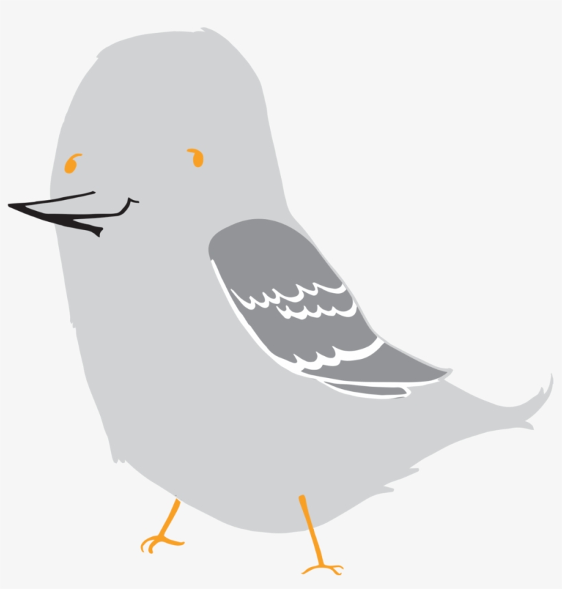 Mockingbird - Free Transparent PNG Download - PNGkey
