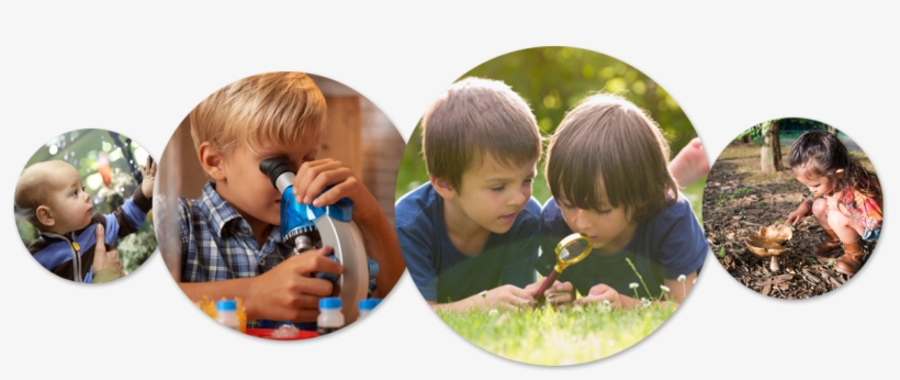 Curiosity-image - Toddler - Free Transparent PNG Download - PNGkey