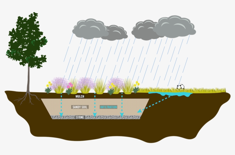 With Population Growth And Increased Land Development - Graphics - Free ...