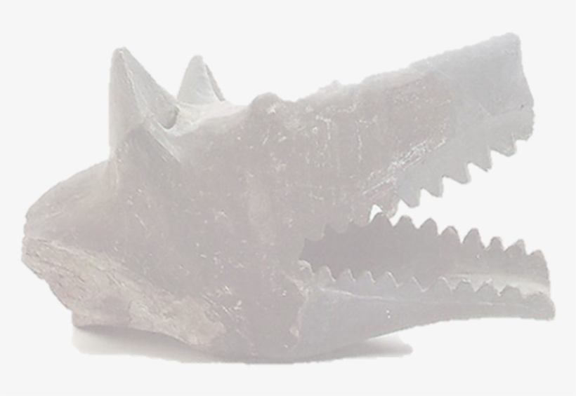 The Numantian Clay Trumpets Are Ultracircular Aerophones - Humpback ...