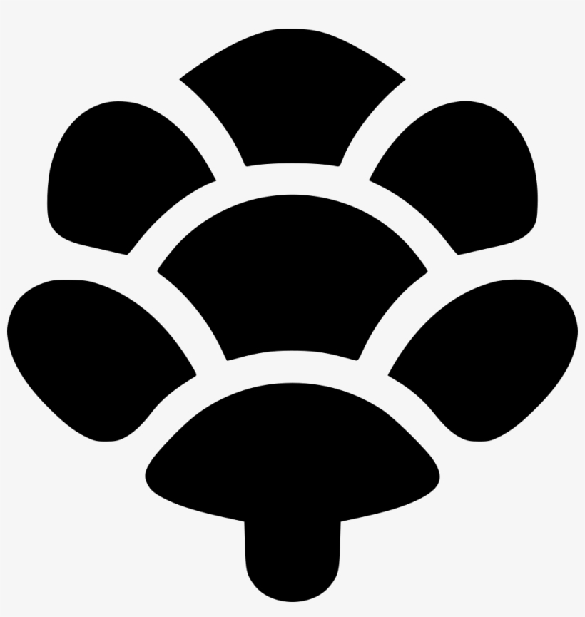 Png File - Turtle - Free Transparent PNG Download - PNGkey