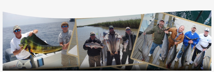 Voodoo Fishing Charters Deep Sea Offshore Tuna Fishing - Dolphin ...