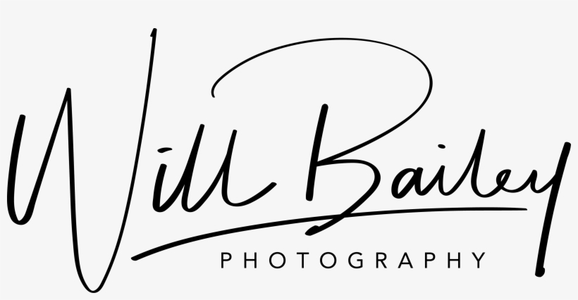 Will Bailey - Festival - Free Transparent PNG Download - PNGkey