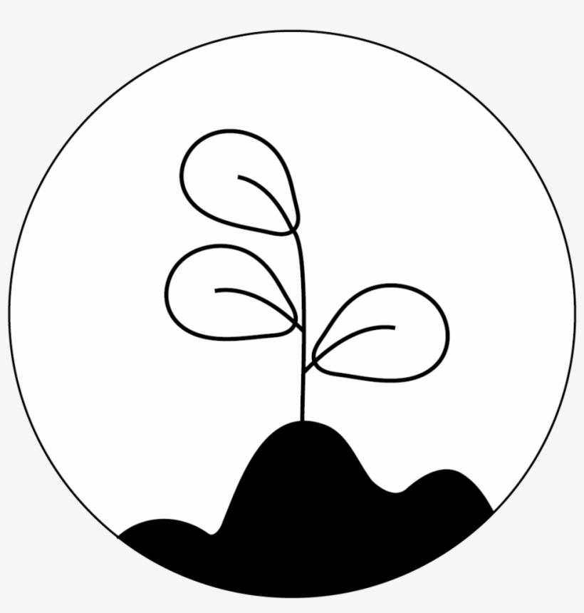 Grow Icon - Icon - Free Transparent PNG Download - PNGkey