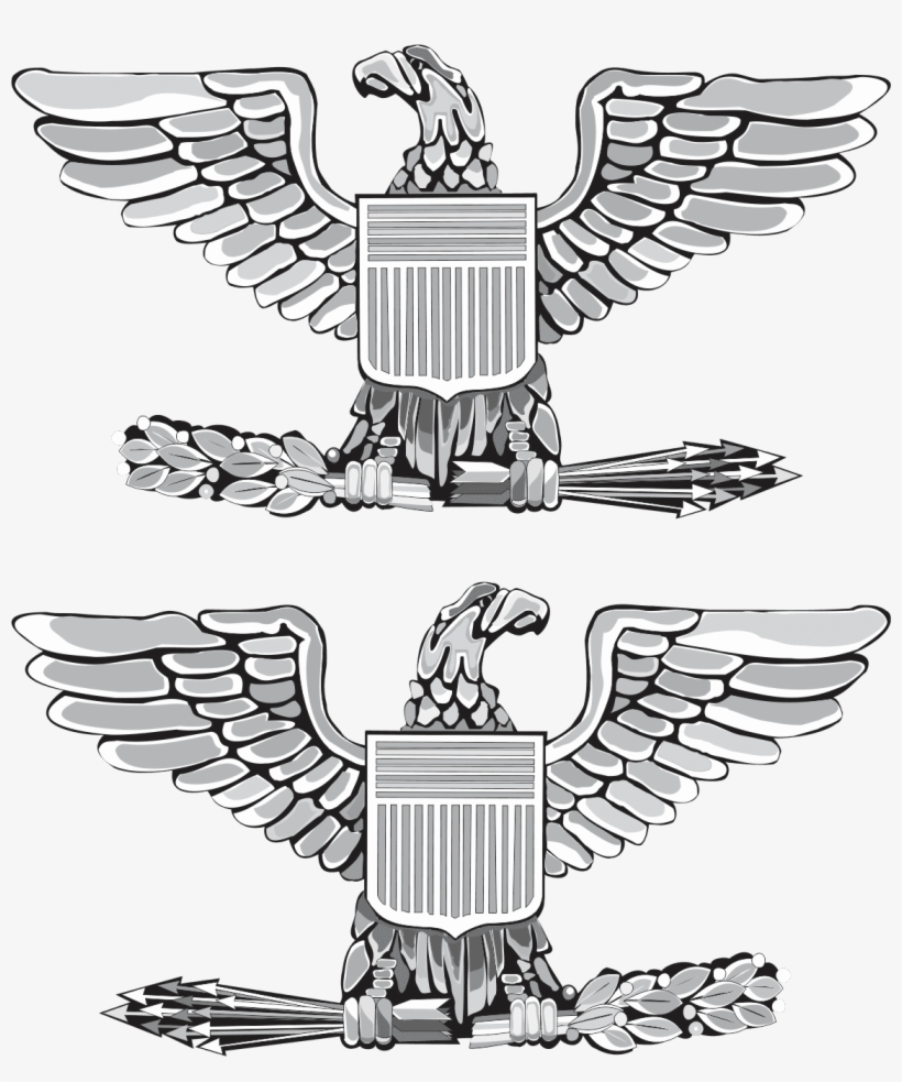 Army Colonel Rank License Plate - Free Transparent PNG Download - PNGkey