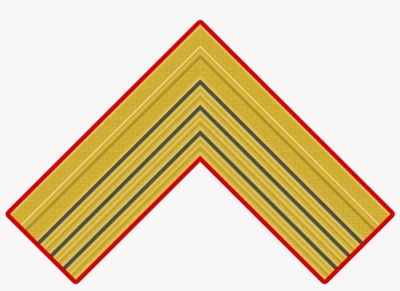 Colonel Rank Png - Penneshaw Penguin Centre - Free Transparent PNG ...