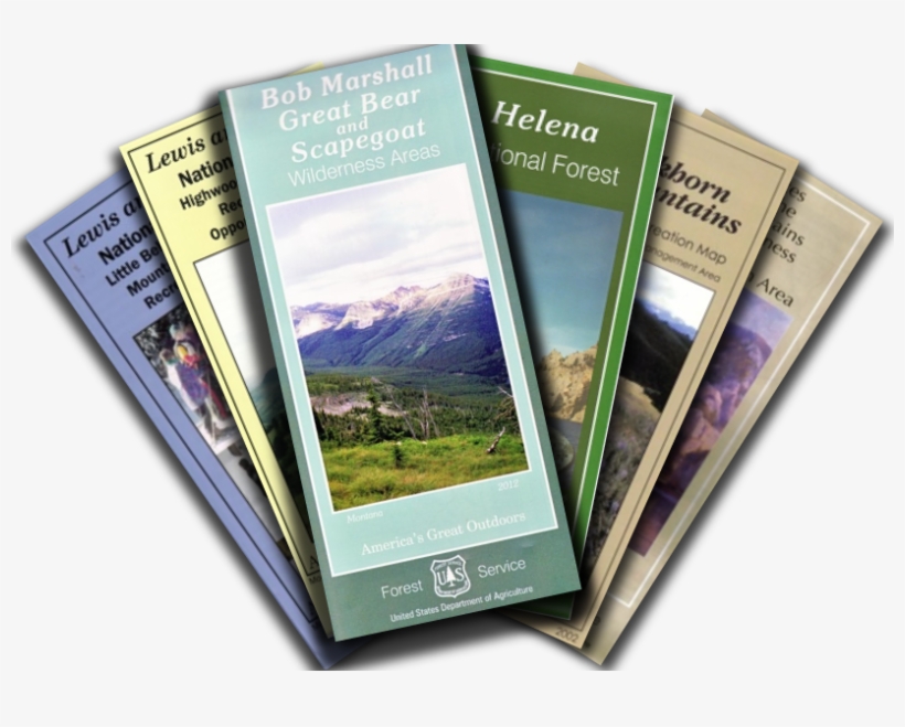 Forest Maps Decorative Image - Map - Free Transparent PNG Download - PNGkey