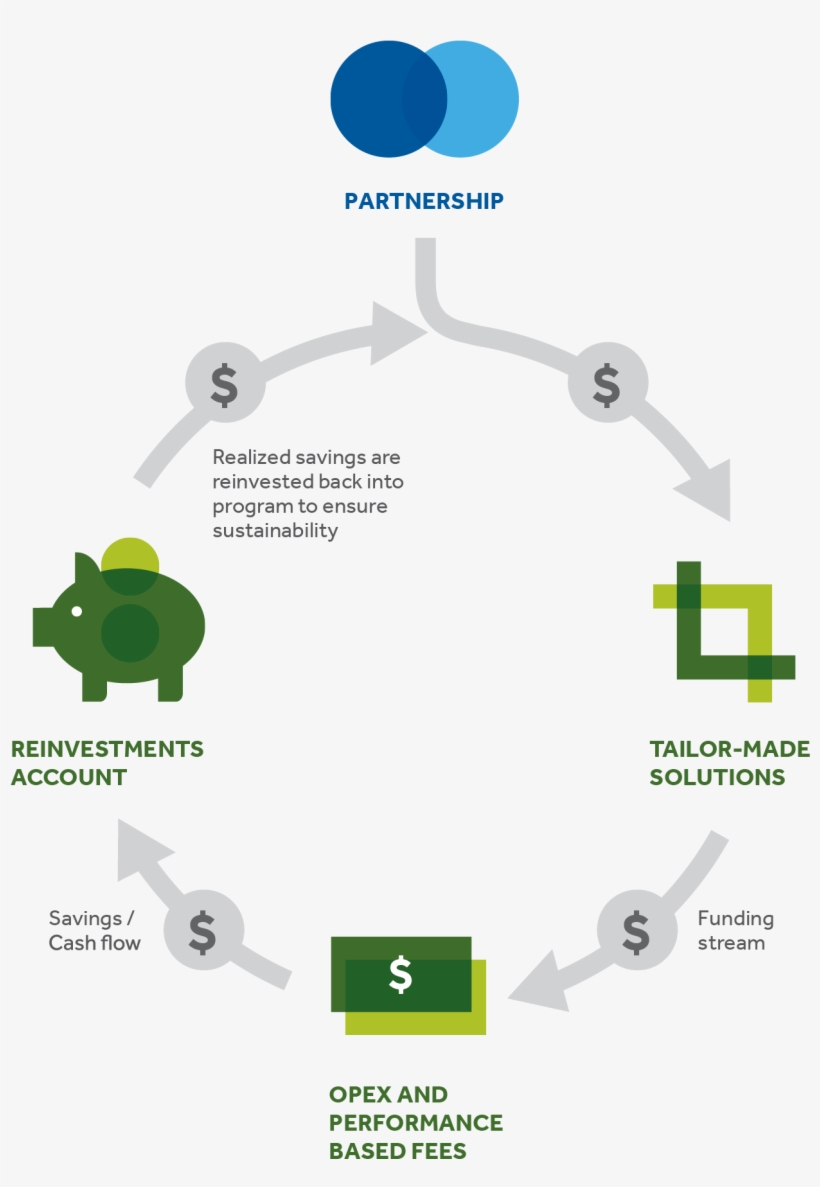 Financial-model - Frog - Free Transparent PNG Download - PNGkey