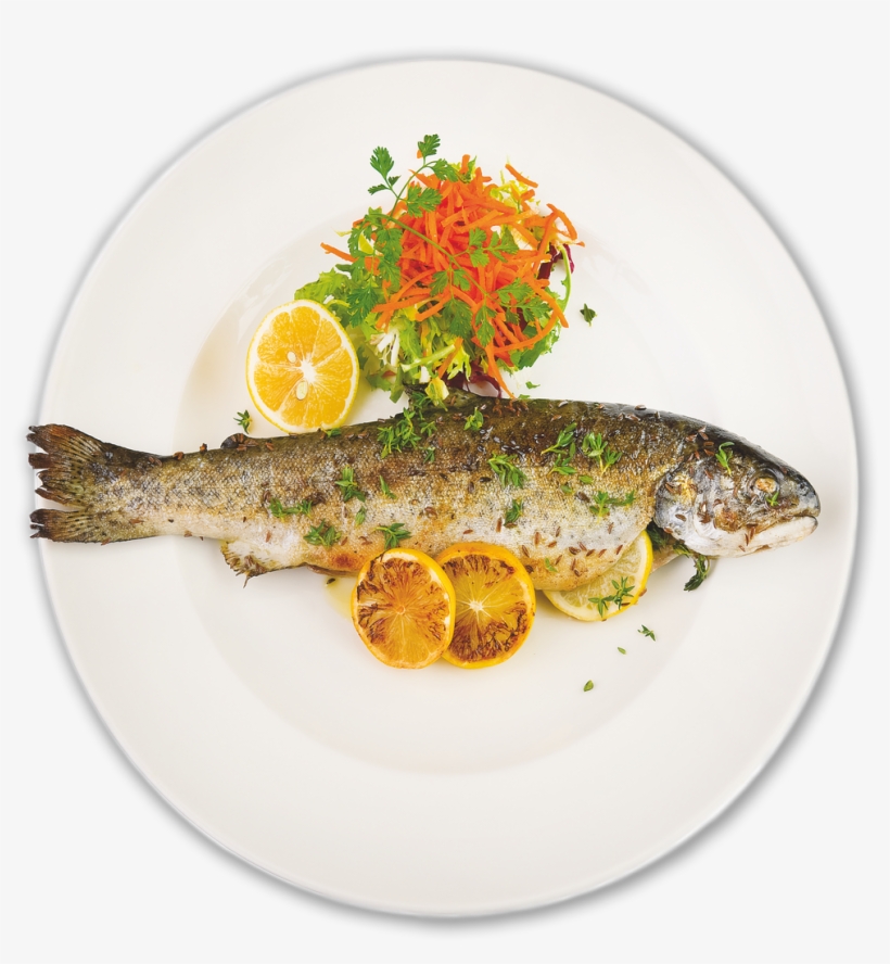 Fish - Fish Plate Png - Free Transparent PNG Download - PNGkey