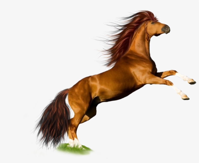 Download Horse Icon - Transparent Background Horse Png - Free ...