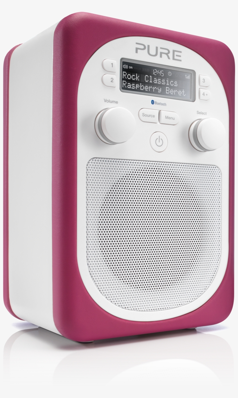 Evoke D2 Mio With Bluetooth Raspberry Dynamic - Pure Dab Radio Evoke D2 ...