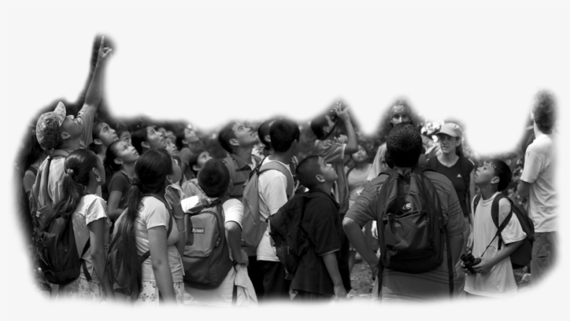 The People Of The Maya Golden Landscape And Beyond - Crowd - Free ...