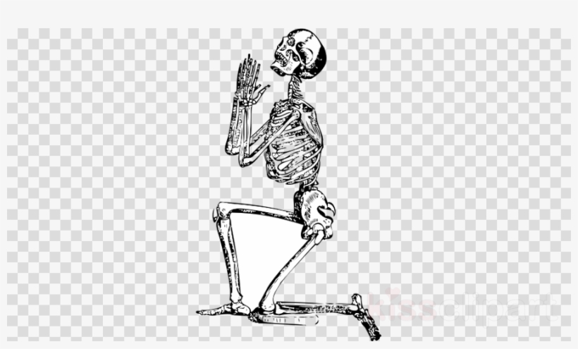 Download Skeleton Praying Png Clipart Human Skeleton - Skull Praying ...